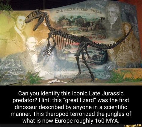 Can You Identify This Iconic Late Jurassic Predator Hint This Great
