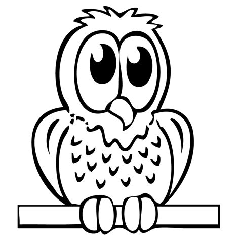 Corujas Para Colorir Imagens PNG