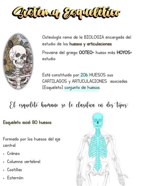 Tejido Seo Udocz