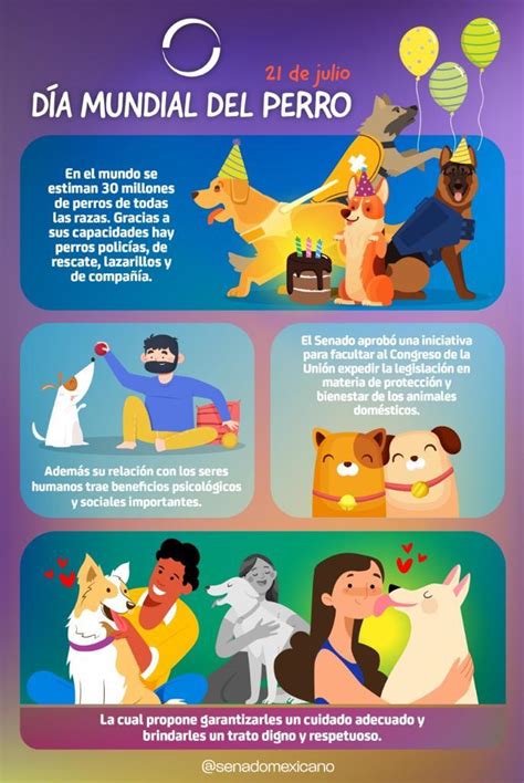 Dia Mundial Del Perro 2023 Argentina IMAGESEE