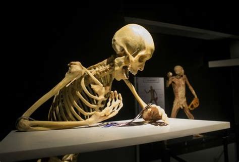 Chilango Our body el universo dentro Exposición con cuerpos humanos