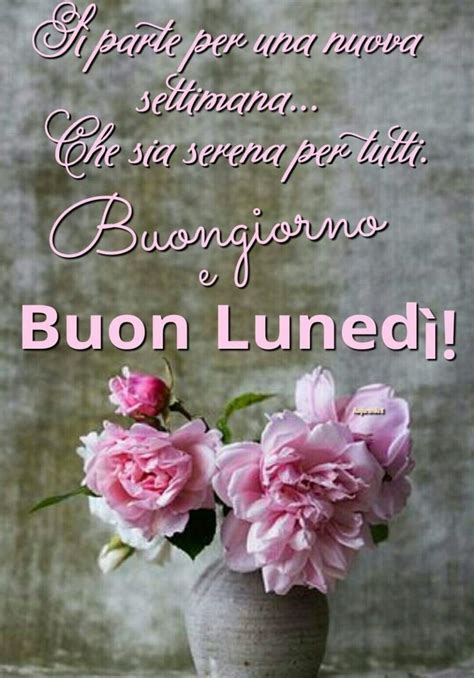 Pin By Emanuela On 0 Buona Settimana Auguri Altro Plants