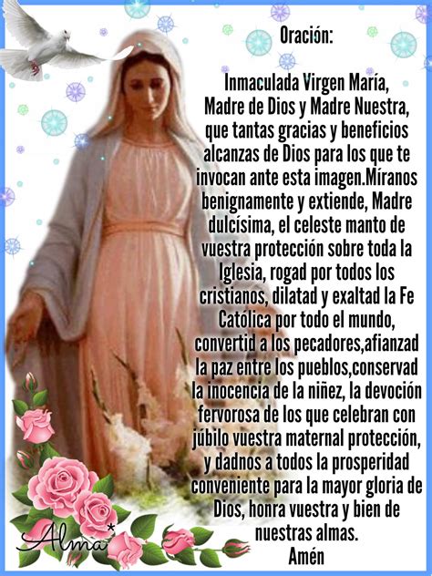Oración Inmaculada Virgen María Rosa Madre de Dios y Madre Nuestra que