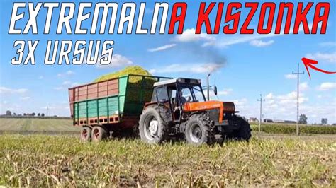 Kukurydza na Kiszonkę 2022Pierwsi w okolicy GR Siwiński YouTube