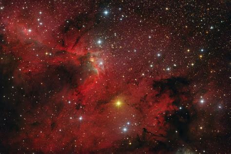 Sh2 155 Höhlennebel Spektrum der Wissenschaft
