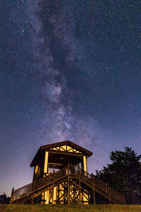 Banco de imagens árvore nuvem céu nascer do sol noite Estrela