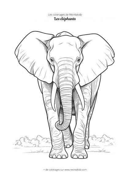 Coloriage éléphant en noir et blanc Dessin à colorier imprimer en PDF