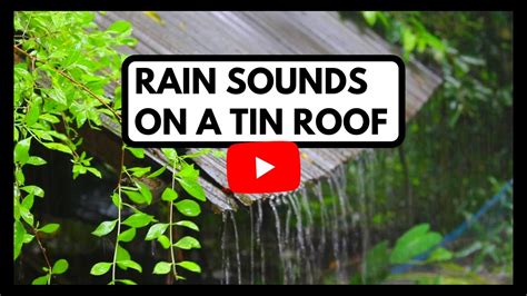 RAIN SOUNDS FOR SLEEPING ON A TIN ROOF 1 HOUR ASMR RAIN SOUNDS