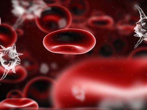 Sepsis 6 Things To Know About Blood Poisoning