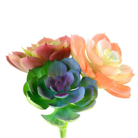 Echeveria Confx Ass Piante Artificiali Ambroso