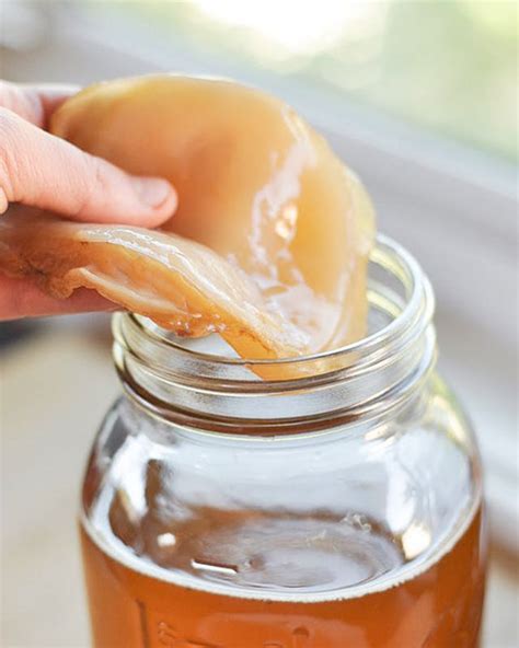 C Mo Hacer Kombucha El S Per T Del Que Todo El Mundo Habla