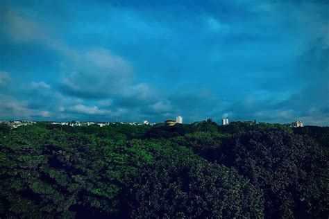 Counting My Bangalore Blessings Shoba Narayan