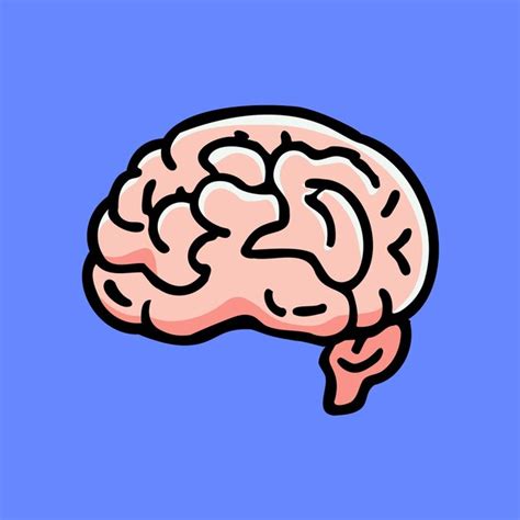 Vector De Cerebro Vector Premium