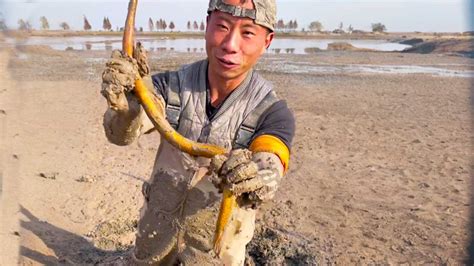 老板说鱼塘里黄鳝每条都有2斤多鳝鱼多的不敢想象老板真没骗人呀康娃打野 YouTube