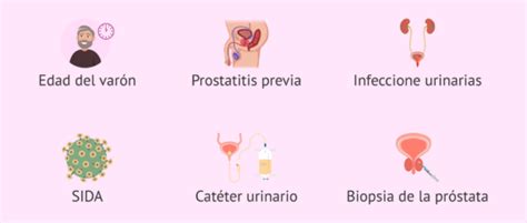 Qu Es La Prostatitis Tipos Causas S Ntomas Y Tratamiento