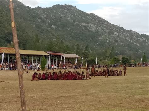 Festival Budaya Lembah Baliem 40 Distrik Tampilkan Tarian Dan Perang