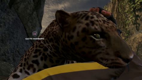 Far Cry 3 Покрасить в чёрное YouTube