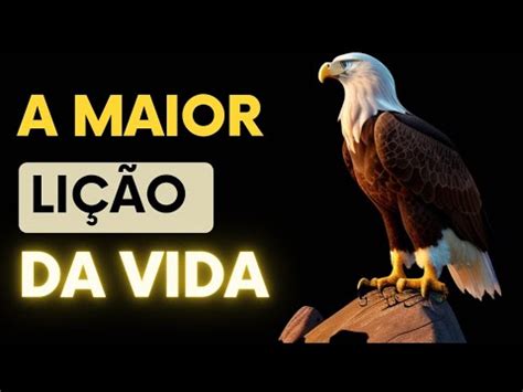 As maiores lições da ÁGUIA YouTube