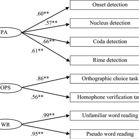 measurement model with factor loadings on latent variables note p download scientific diagram