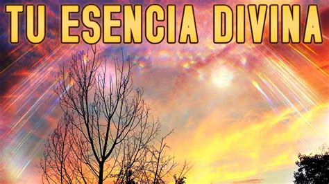 Tu Esencia Divina YouTube