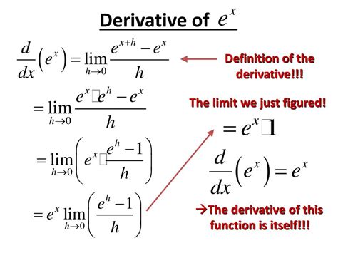 exp derivative