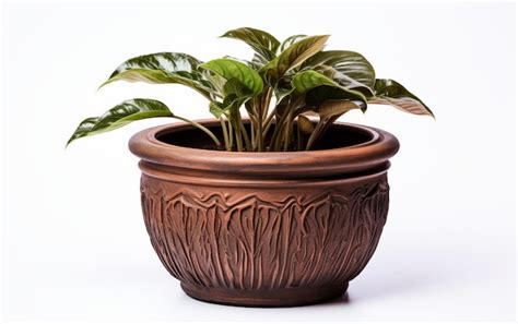 Premium Photo Potted Plant With Green Leaves