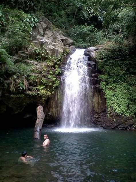 Reserva Ecológica La Otra Opción Catemaco 2018 Lo que se debe saber