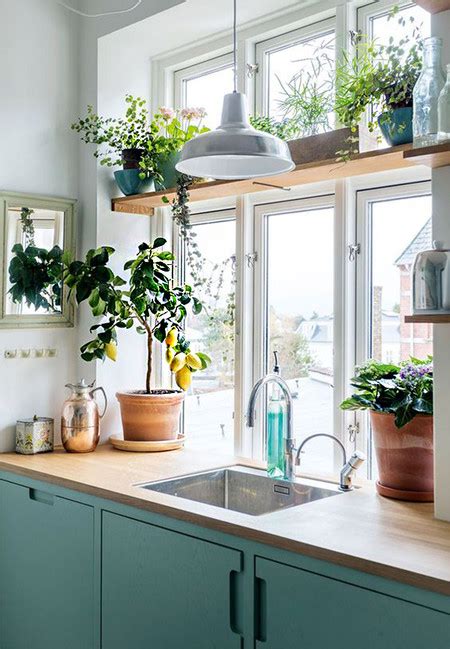 Ideas Pr Cticas Para Decorar La Cocina Con Plantas Y Darle Un Estilo
