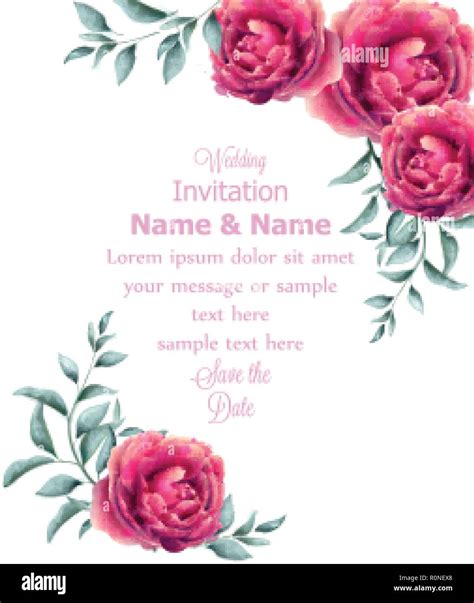 Invitación de boda rosas flores acuarela Vector del bastidor Hermosos