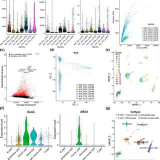 Identification Of Three States Based On Cell Trajectory Analysis And