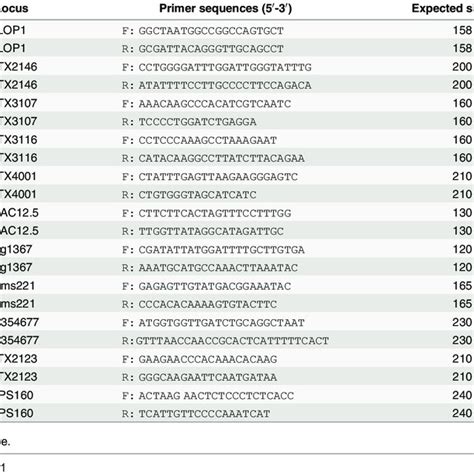 fingerprints of five simple sequence repeat ssr primers in the download scientific diagram