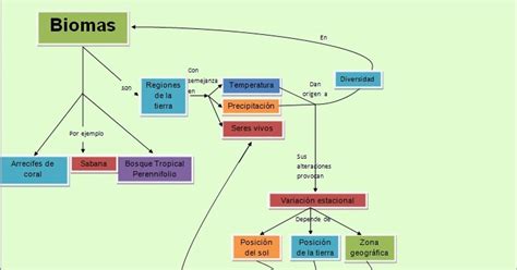 Biolog A Iv Mapa Conceptual De La Practica Biomas