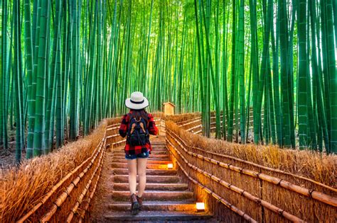 TOP 50 Things To Do In Kyoto Must See Must Do Must Experience