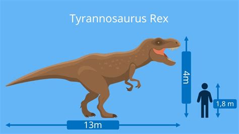 Tyrannosaurus Rex Steckbrief