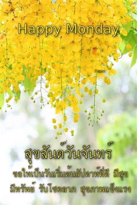 Yellow Flowers With The Words Happy Monday Written In Thai Language On