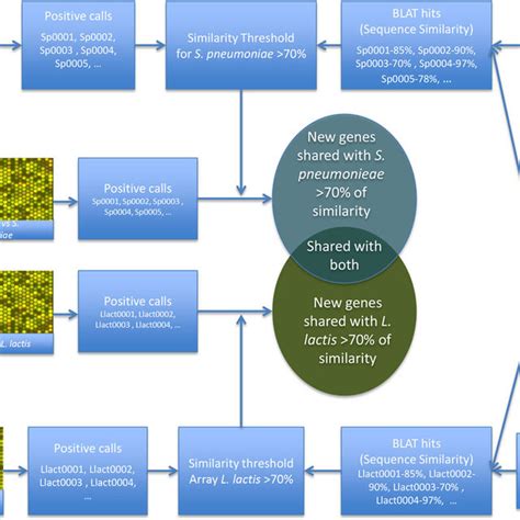 schema of the bioinformatics framework developed for the interpretation download scientific