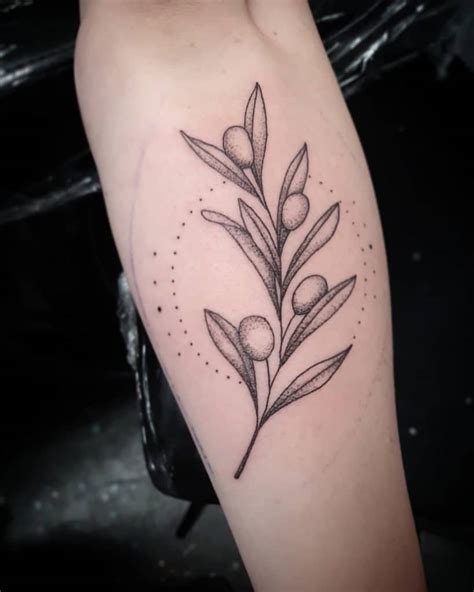 Details 64 Olive Tree Tattoos Latest In Cdgdbentre