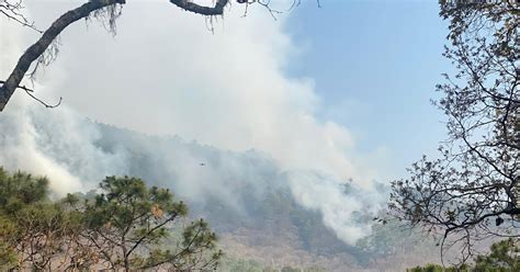 REGION LC Ejército Mexicano y Guardia Nacional aplican Plan DN III E y