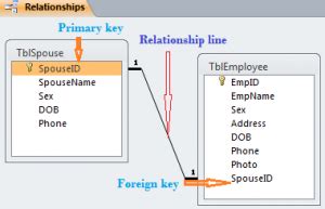 Pengertian Primary Key Foreign Key Dan Candidate Key
