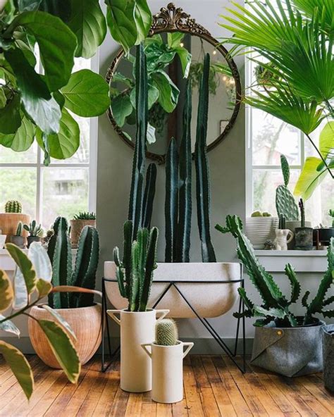 40 Eye Catching Plant Setting Ideas To Beautify Your Interior OBSiGeN