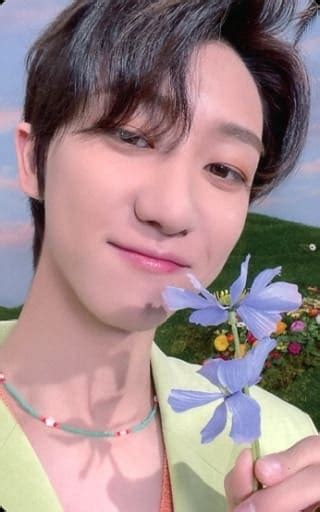駿河屋 SEVENTEEN THE 8 ディエイト CDSECTOR 17 一般盤 SEVENTEEN Weverse Shop
