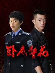 卧底警花 电视剧 全集高清正版视频 爱奇艺