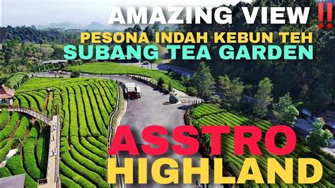 INDAHNYA KEBUN TEH CIATER AMAZING VIEWExplore ASTRO HIGHLAND KEBUN