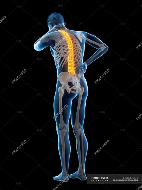 Rear View Of Male Body In Full Length With Back Pain Conceptual