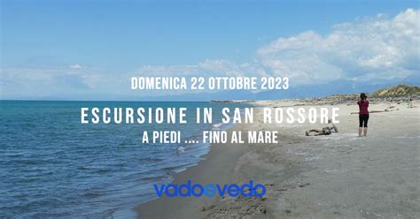 Escursione Nella Tenuta Di San Rossore Fino Al Mare Vadoevedo