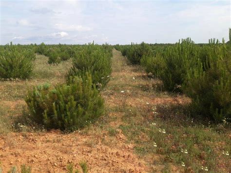 La Junta de Castilla y León destina 7 millones de euros a las ayudas a