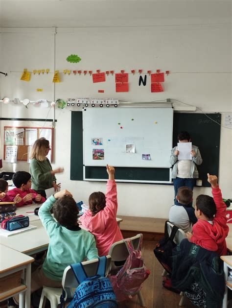 Bibliotecas do 1 º Ciclo AEGP
