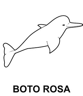 Boto Para Colorir 30 Modelos Lindos Para Imprimir Artofit