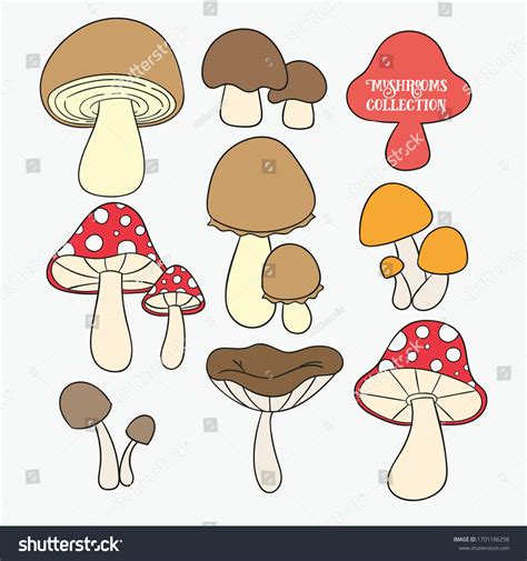 Set Mushrooms Outline Transparent Background Vector Stock Vector