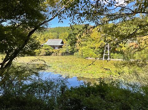 京都春秋 on Twitter RT ryoanjijapanese 今日は美しい鏡容池日和 水面の景色もご堪能あれ 龍安寺